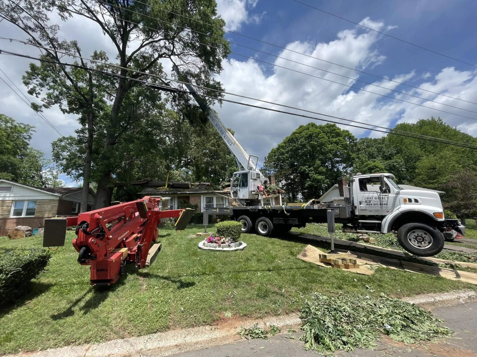 Lancaster's Premier Tree Removal Service - Macmillan Education Bookstore